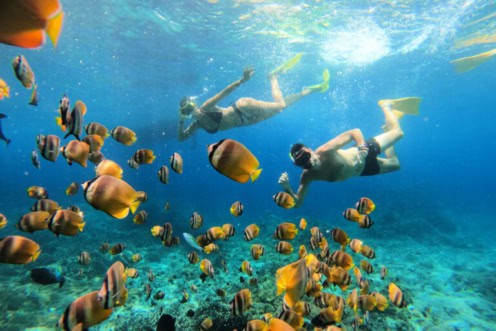 South Bali To Become Marine Conservation Area Improving Tourists ...